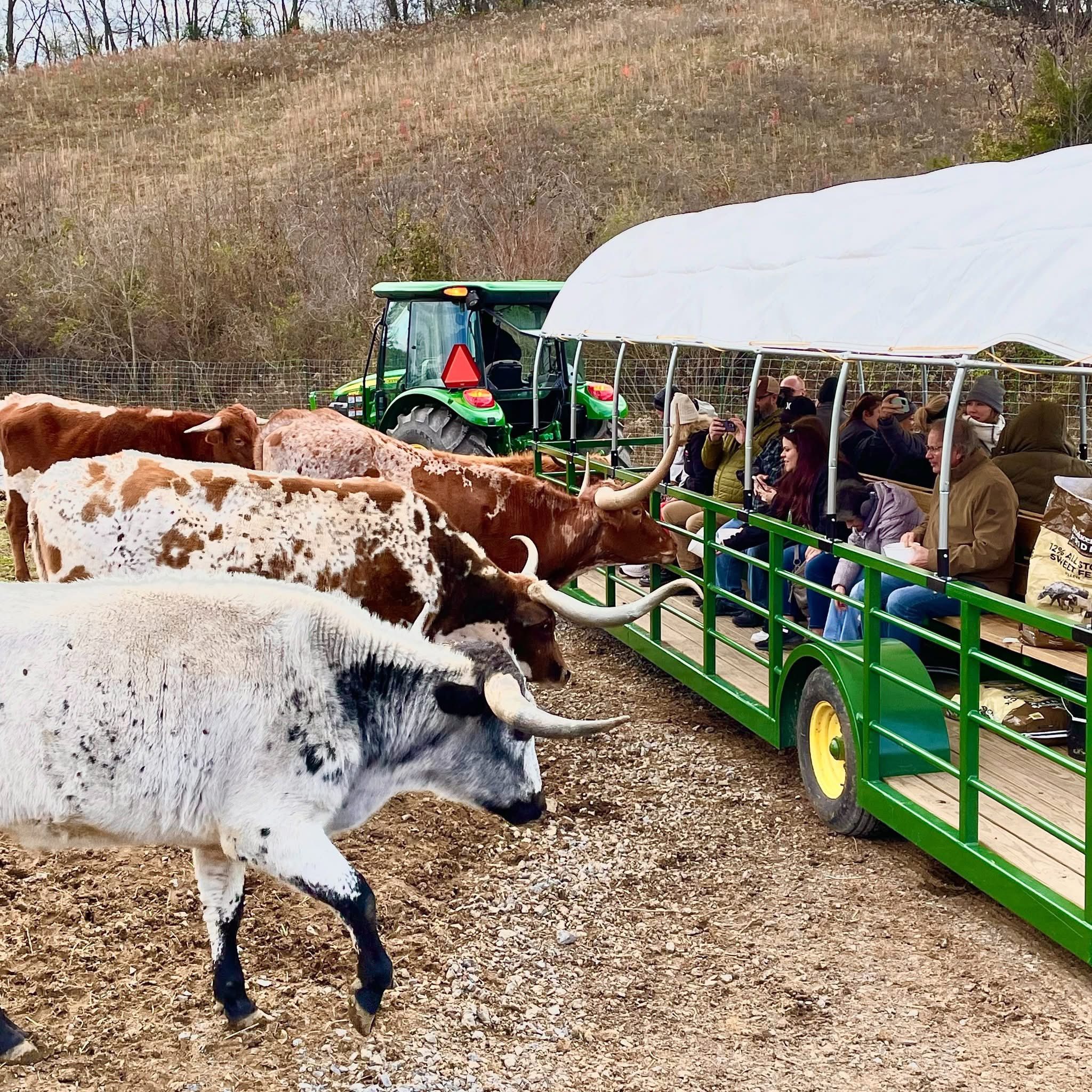 Skyland Ranch reopens following fire - Smokies Live